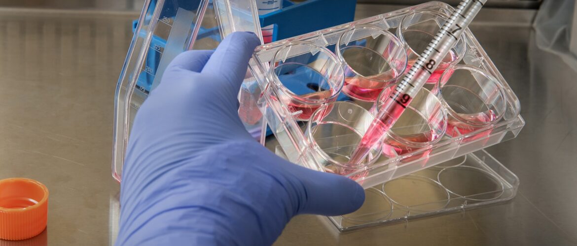 ΜΕΛΕΤΗ ΓΕΝΙΚΟΥ ΝΟΣΟΚΟΜΕΙΟΥ ΑΡΤΑΣ ΓΙΑ ΤΗΝ ΑΝΑΠΤΥΞΗ ΚΑΙ ΔΙΑΡΚΕΙΑ ΤΩΝ ...